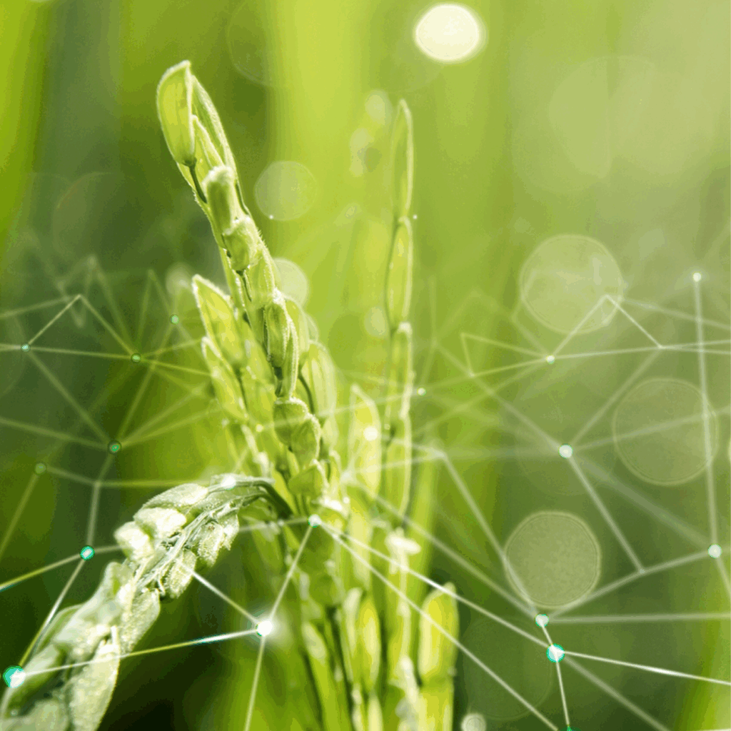 Tecnologia verde: conheça as inovações que estão transformando o setor ...